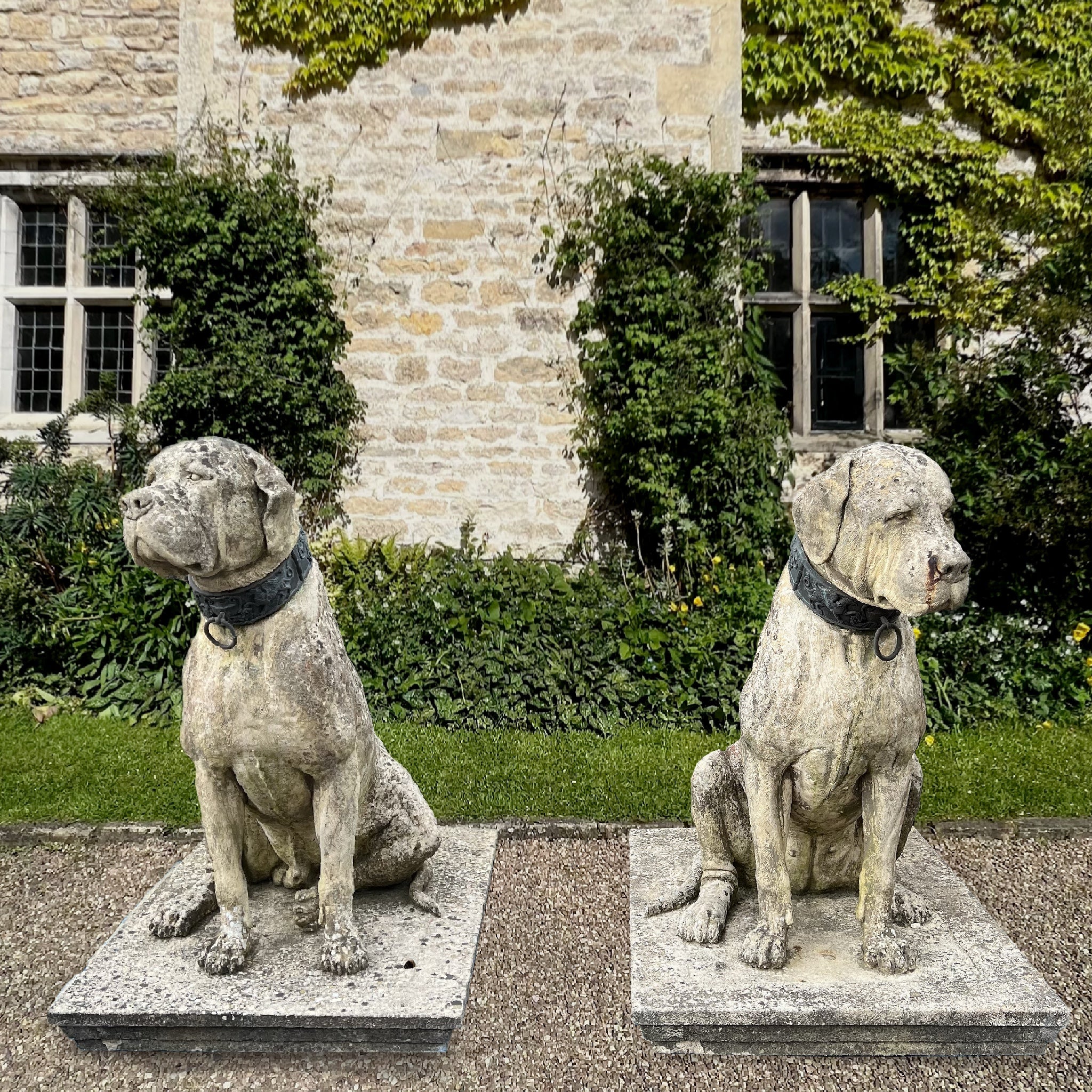 Pair of English Mastiff Guardian Statues with Bronze Collars – Chris ...